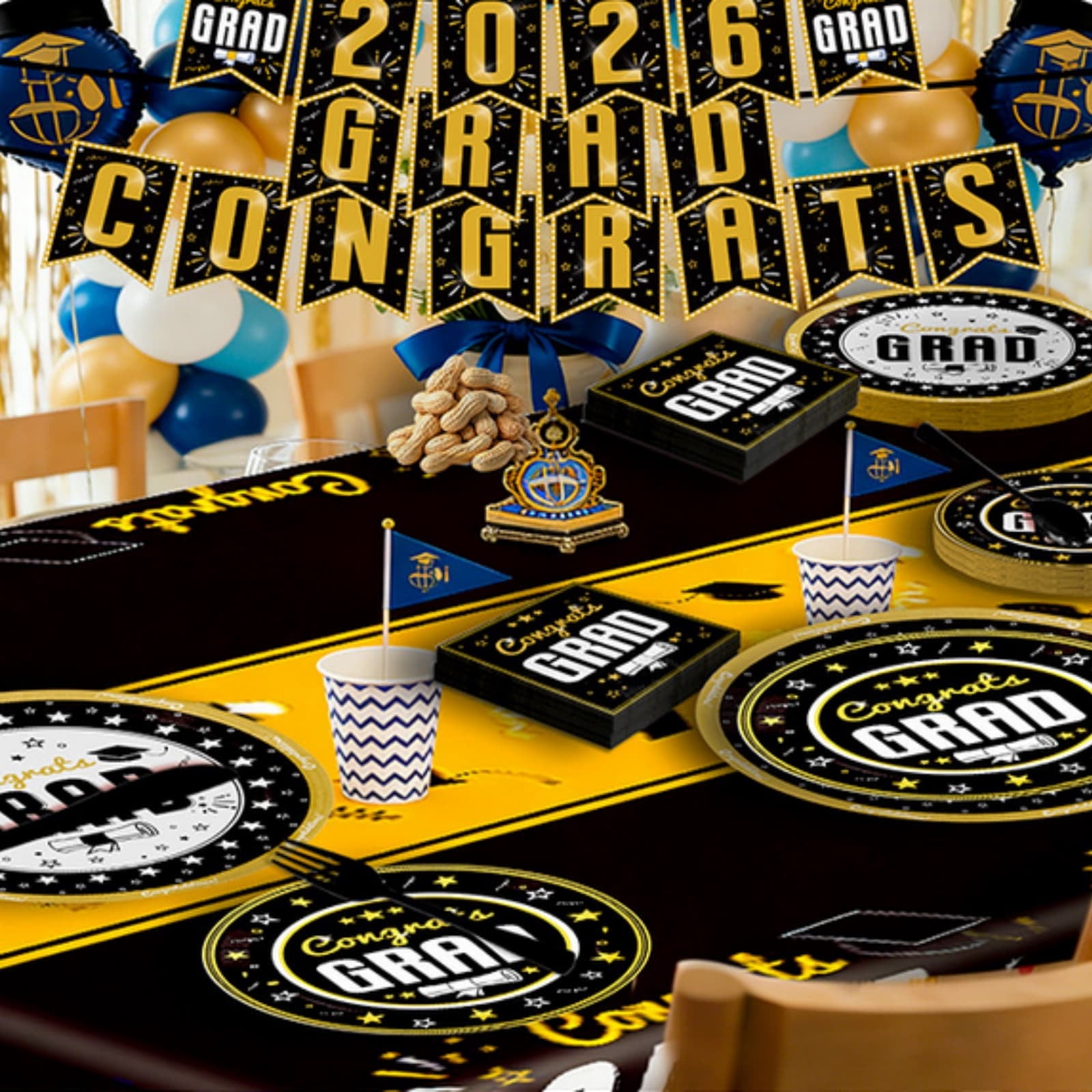 Aurorax Graduation Decorations 2026 Graduation Tableware Set Disposable ...