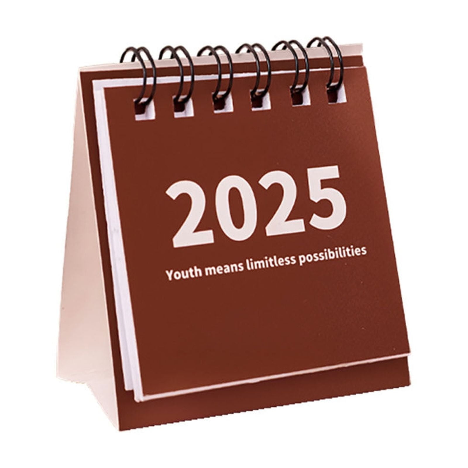 Aursykel 2025 Desk Calendar Mini Size Portable Planner with Thick Paper ...