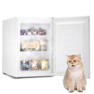 KISSAIR 3.0 Cu.ft Compact Upright Mini Freezer for Small Spaces & Meat ...