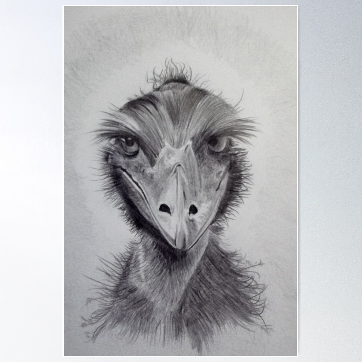 Aussie Emu' Poster Wall Art, Modern Wall Decor For Living Room Bedroom ...
