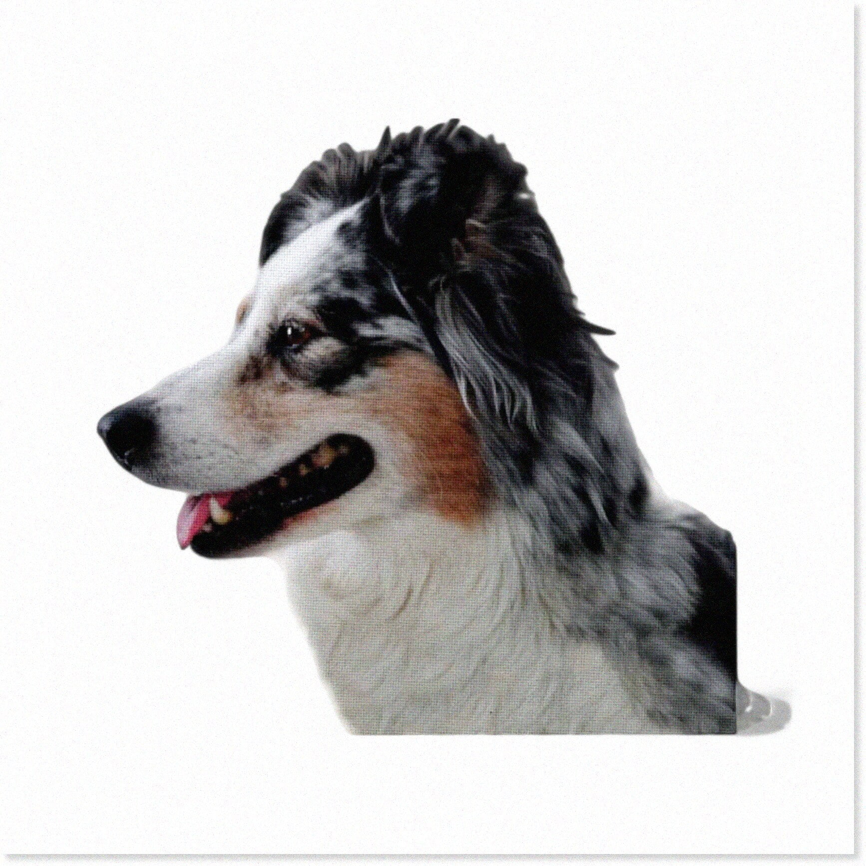 Aussie Paws Patchwork: Vibrant 10x10-Inch Australian Shepherd Quilt ...