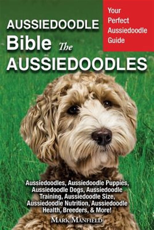 Aussiedoodle Bible And Aussiedoodles: Your Perfect Aussiedoodle Guide ...