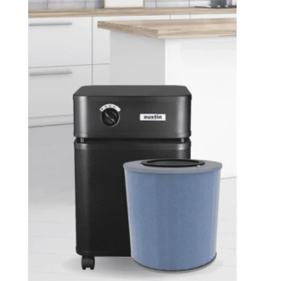 Austin Air Healthmate Standard Size Replacement Filters - Walmart.com