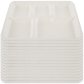 Compartment Dinner Plates