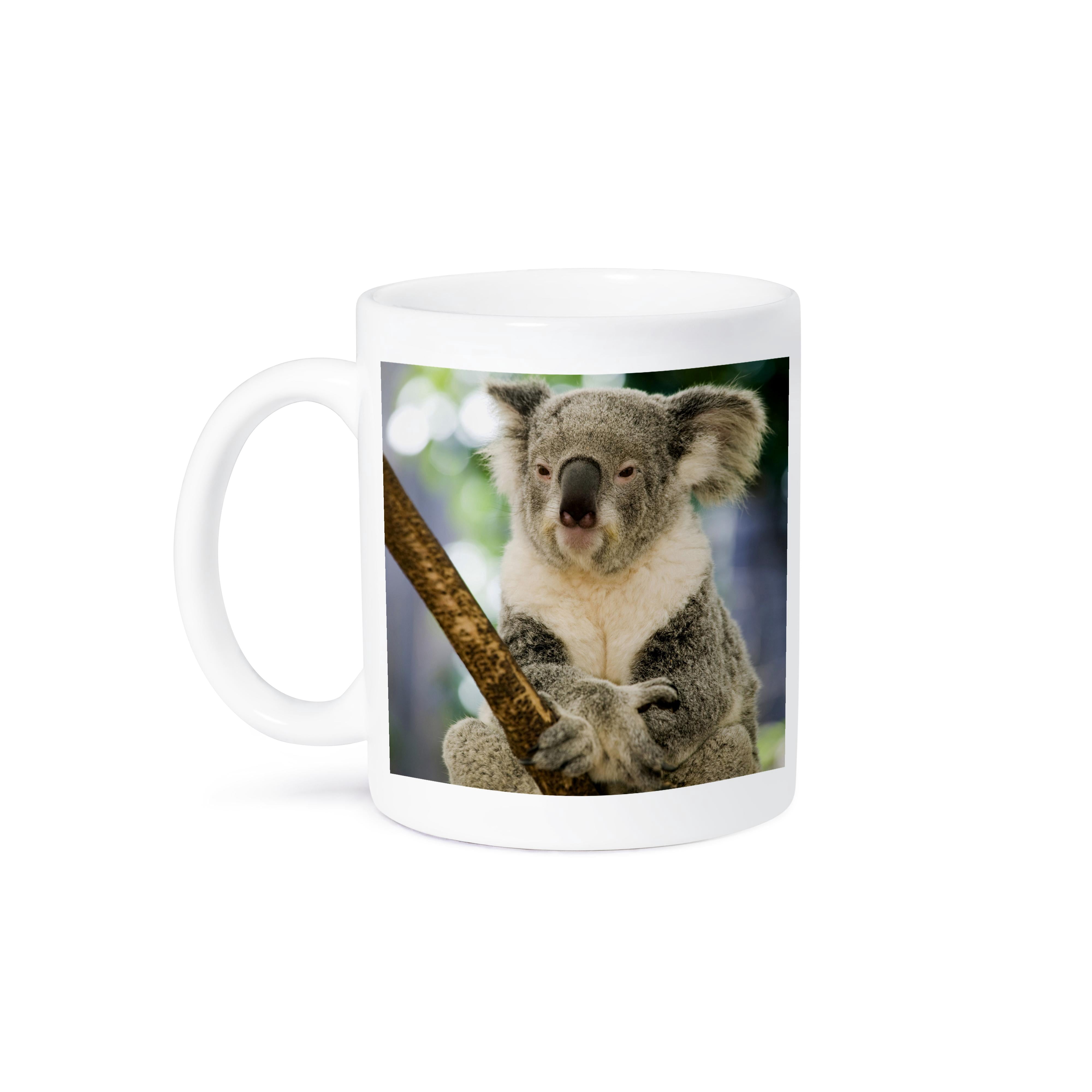 Australia, Brisbane, Fig Tree Pocket, Koala Bears-Au01 Wbi0123 - Walter Bibikow, 15oz Mug ...