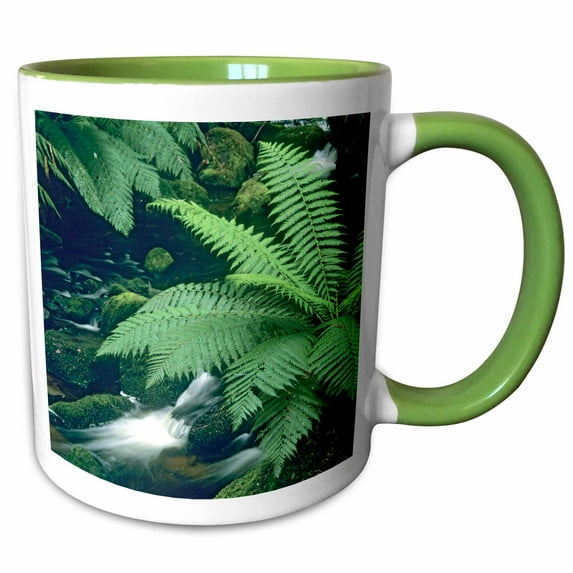 3drose, Australia, Mt. Field Np, Russell Creek, Tree Ferns-au01 Ksc0018 ...