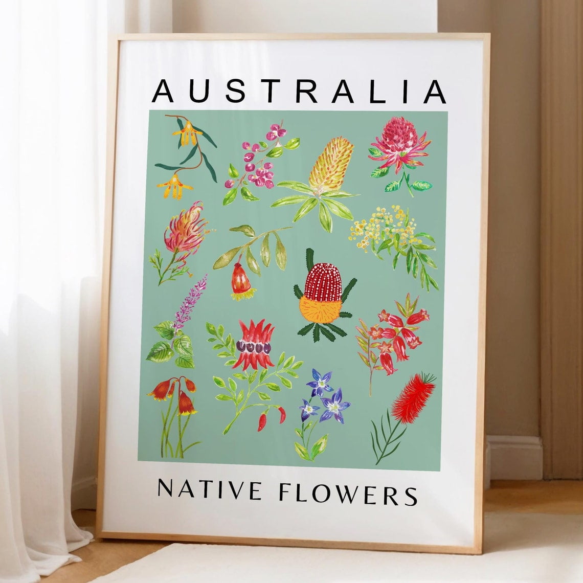 Australia Native Flowers Print, Australian Wildflower Illustration ...