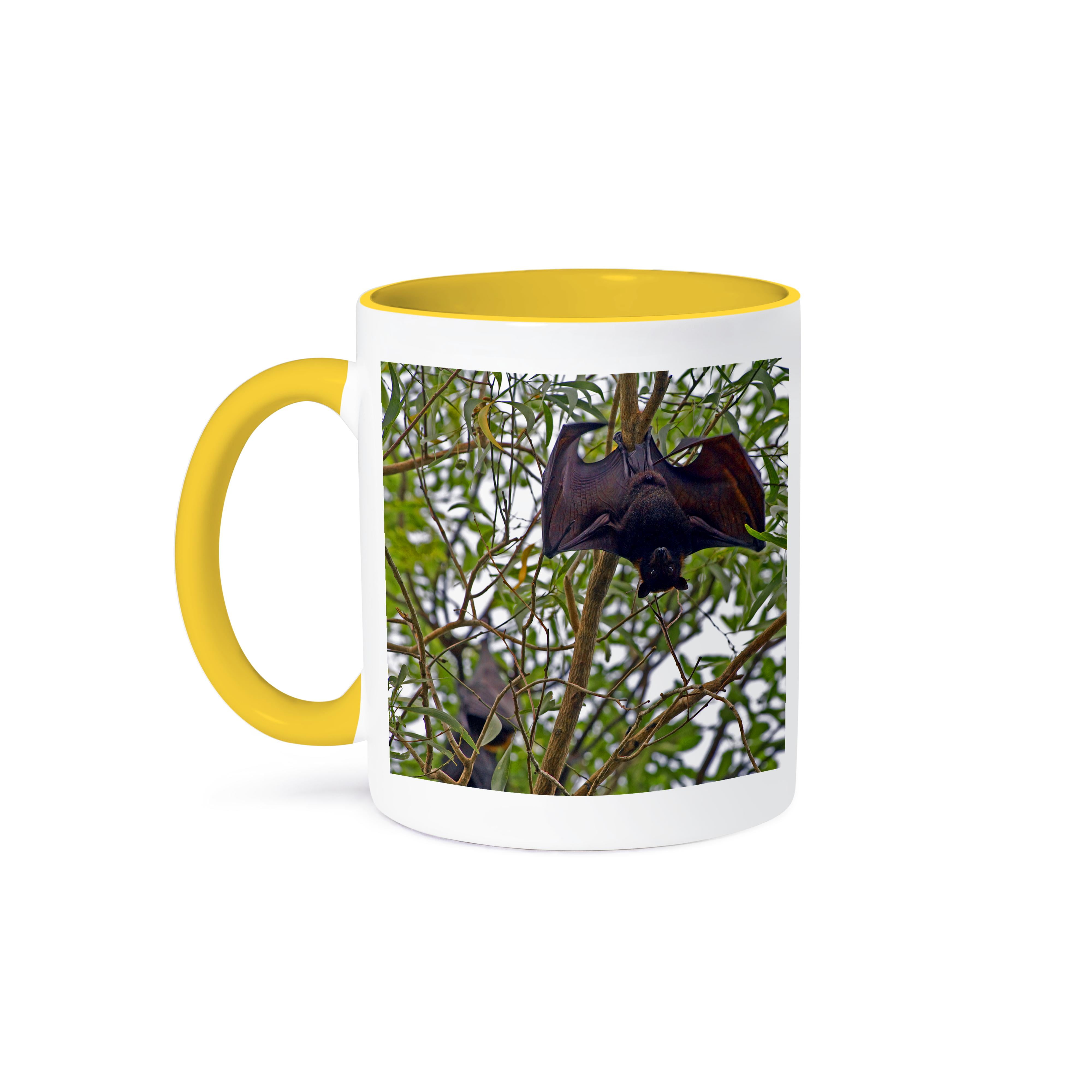 Australia, No. Territory, Kakadu Np, Black Flying Fox-Au01 Bfr0064 - Bernard Friel, 11oz Two ...