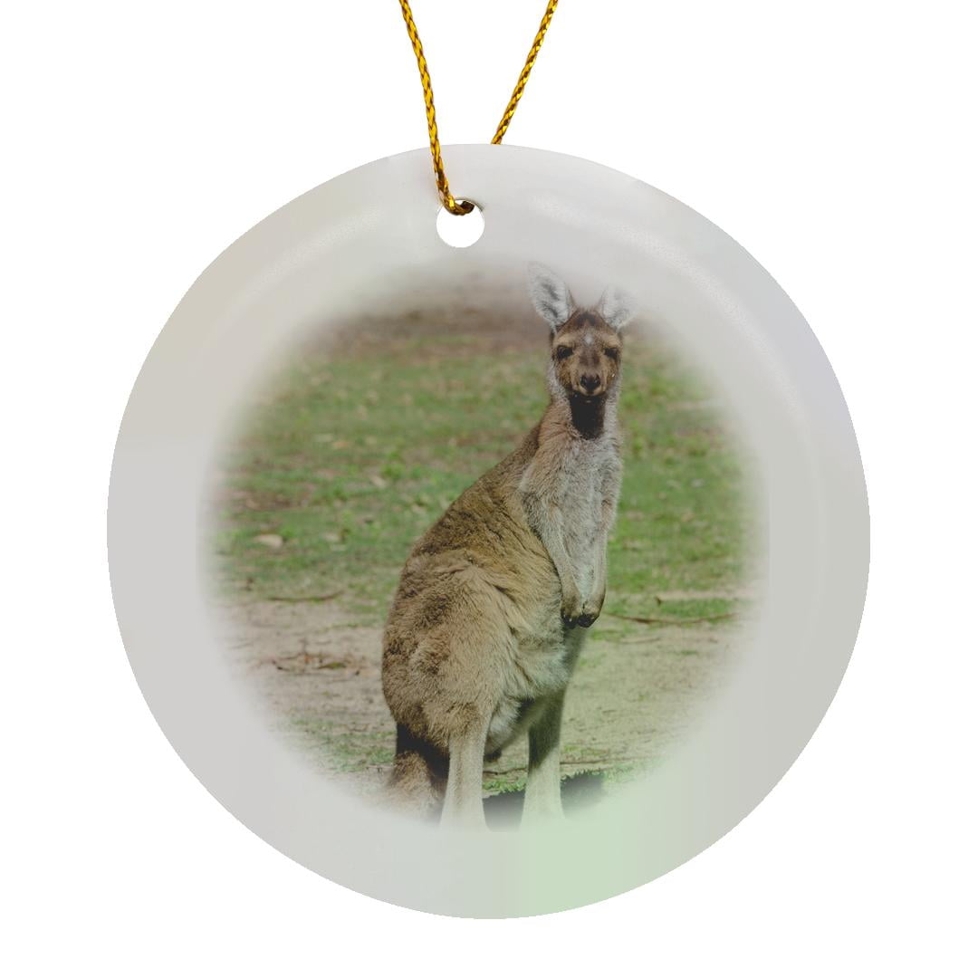 3drose, Australia, Perth, Yanchep National Park. Western Gray Kangaroo ...