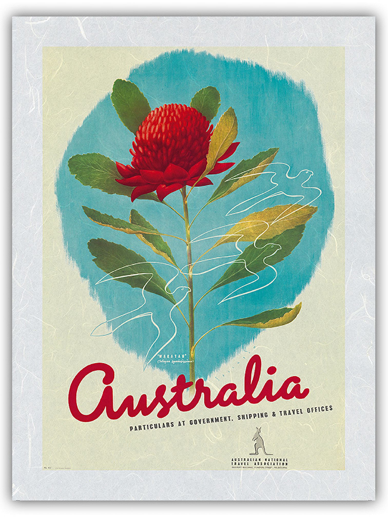 Australia - Red Waratah (Telopea) Flower - New South Wales (NSW) State ...