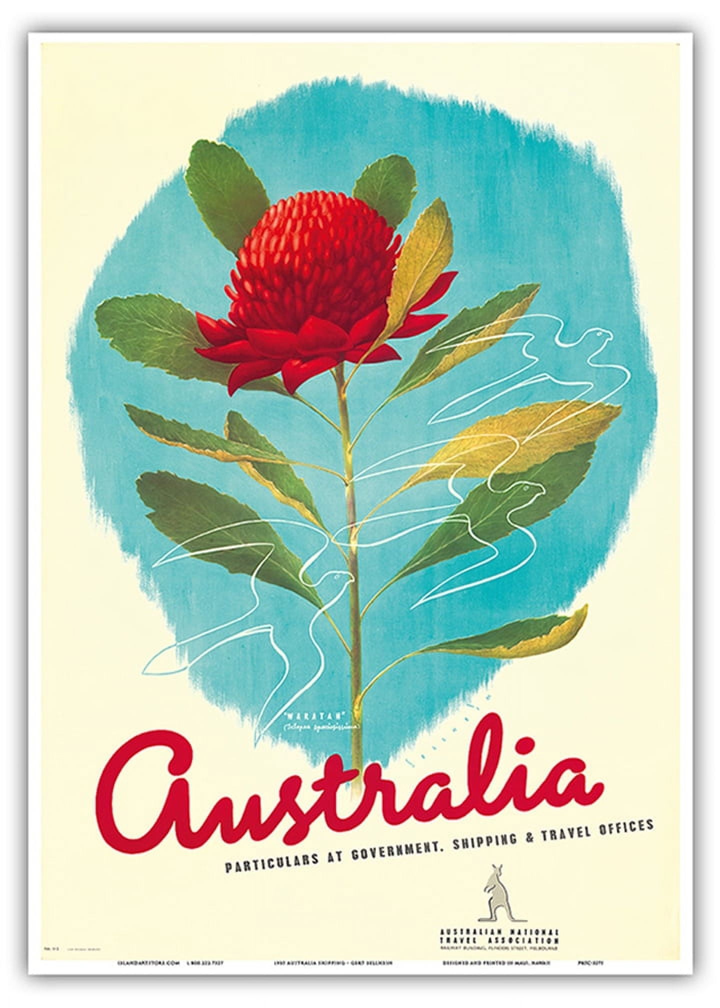 Australia - Red Waratah (Telopea) Flower - New South Wales (NSW) State ...