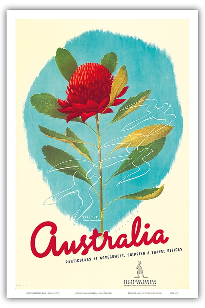 Australia - Red Waratah (Telopea) Flower - New South Wales (NSW) State ...