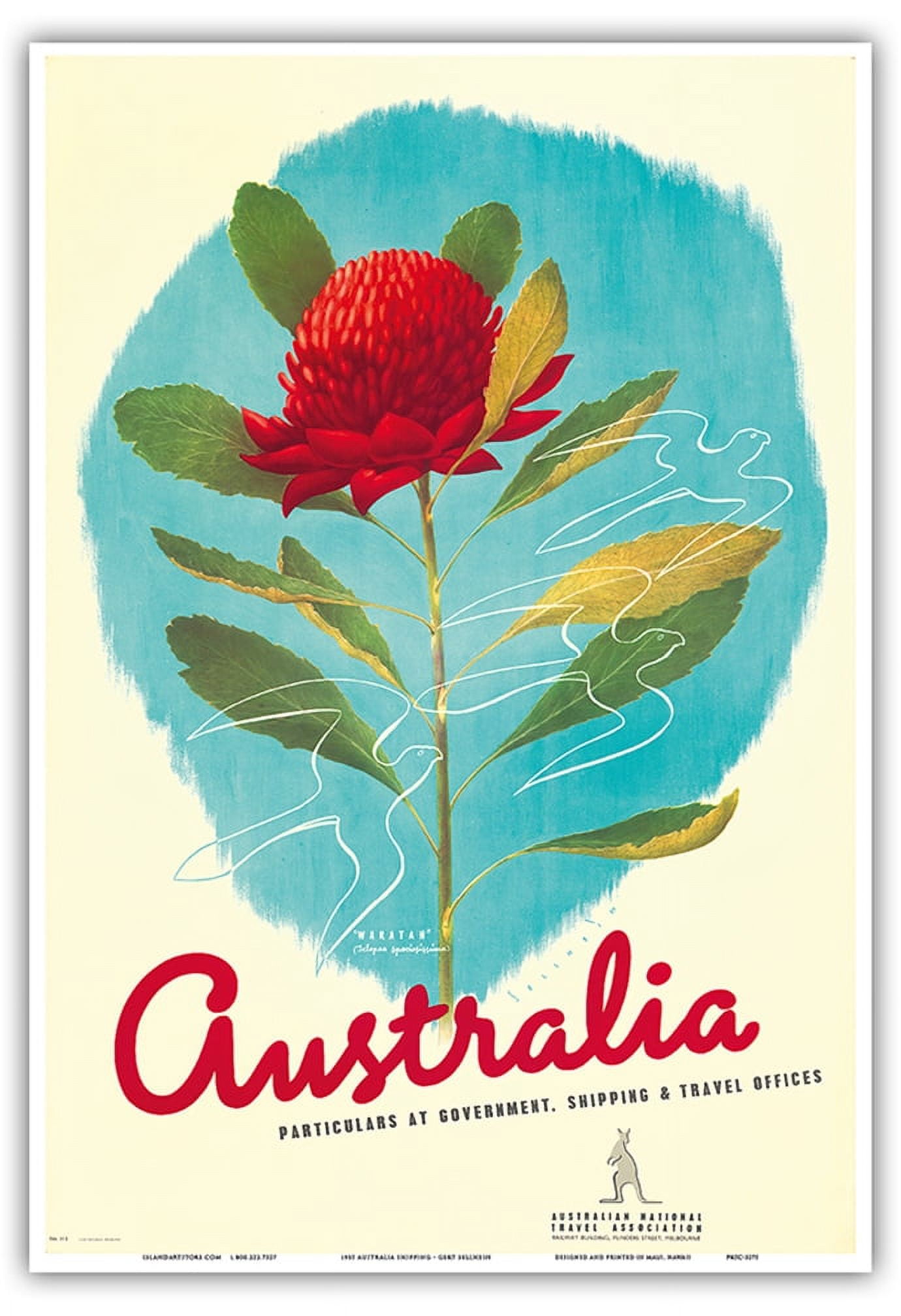 Australia - Red Waratah (Telopea) Flower - New South Wales (NSW) State ...