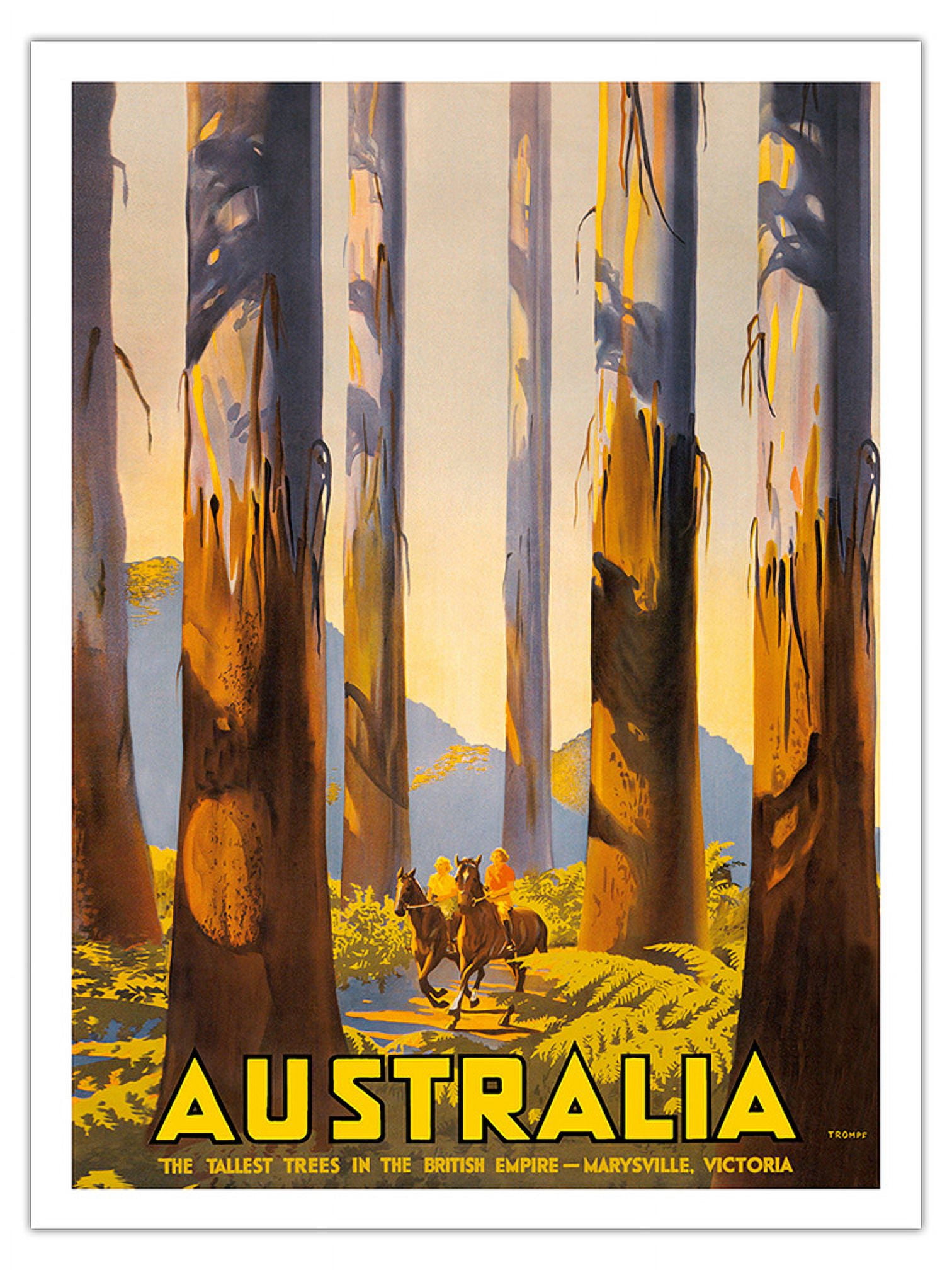 Australia - The Tallest Trees in the British Empire - Marysville ...