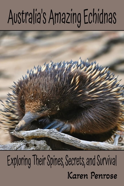 Australia's Amazing Echidnas: Exploring Their Spines, Secrets, and ...