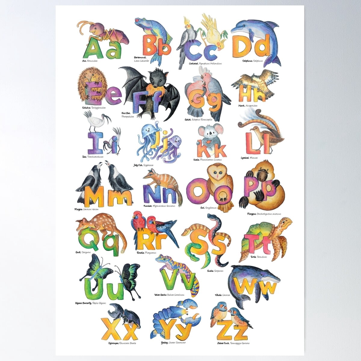 Australian Animal Alphabet Poster Wall Art, Modern Wall Decor For ...