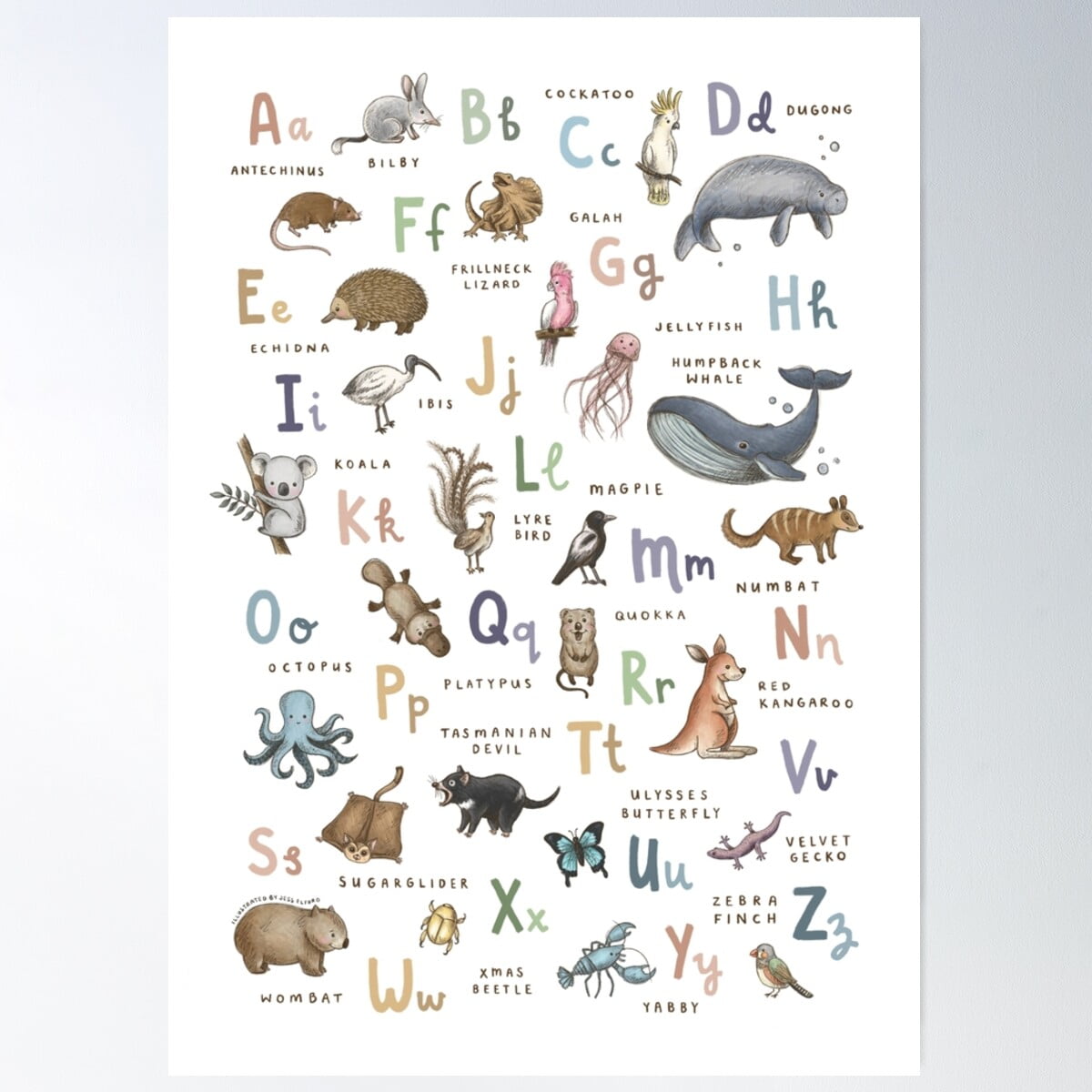 Australian Animals Alphabet Poster Wall Art, Modern Wall Decor For ...