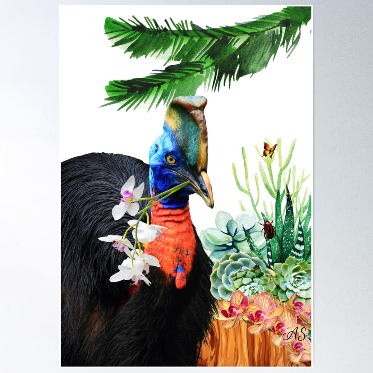Australian Animals- Colourful Cassowary Poster Wall Art, Modern Wall ...