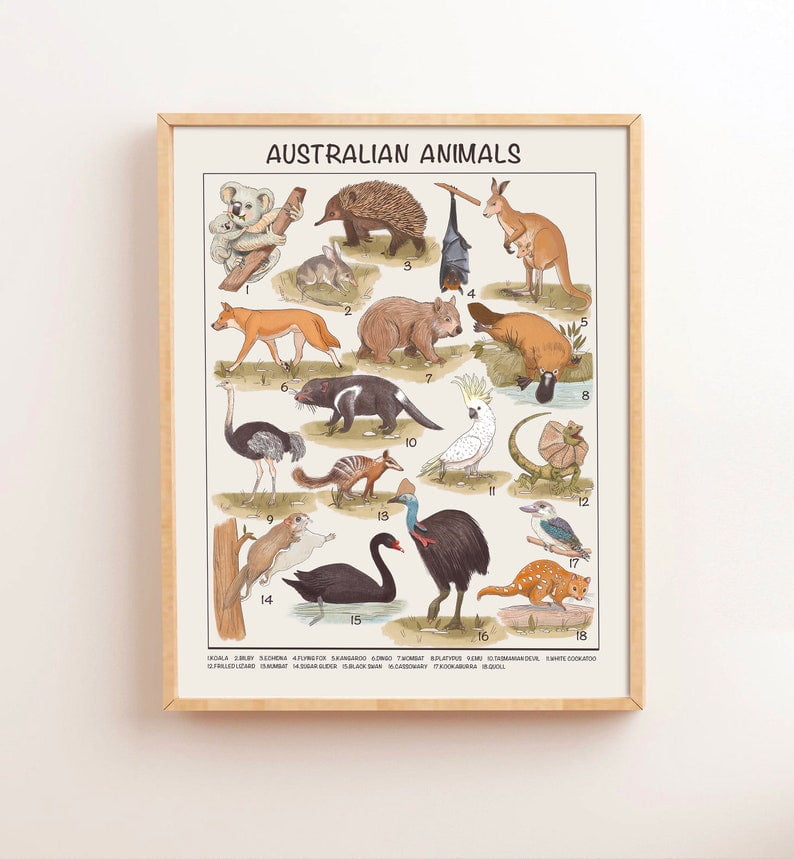 Australian Animals Educational Poster Printable Montessori Preschool ...