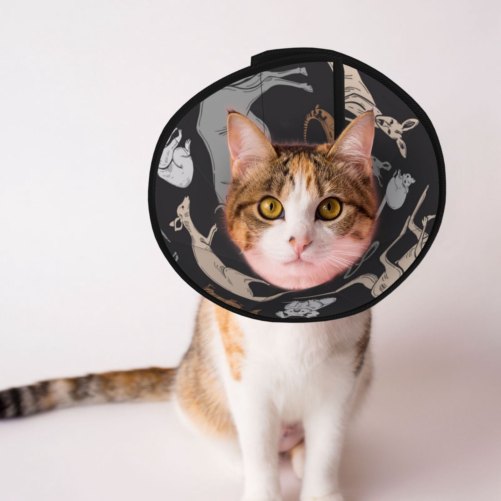 Australian Animals Koala Soft Pet Recovery Collar for Cats Small Dogs ...