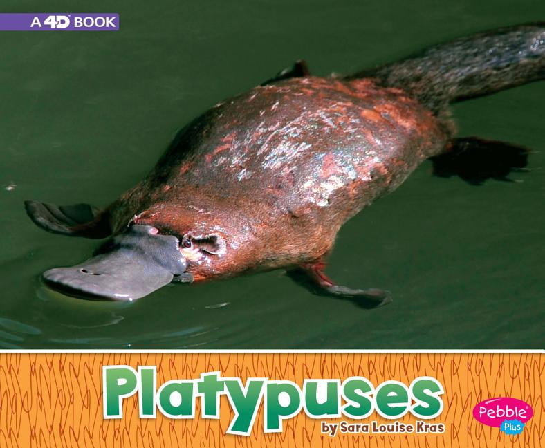 Australian Animals: Platypuses: A 4D Book (Hardcover) - Walmart.com