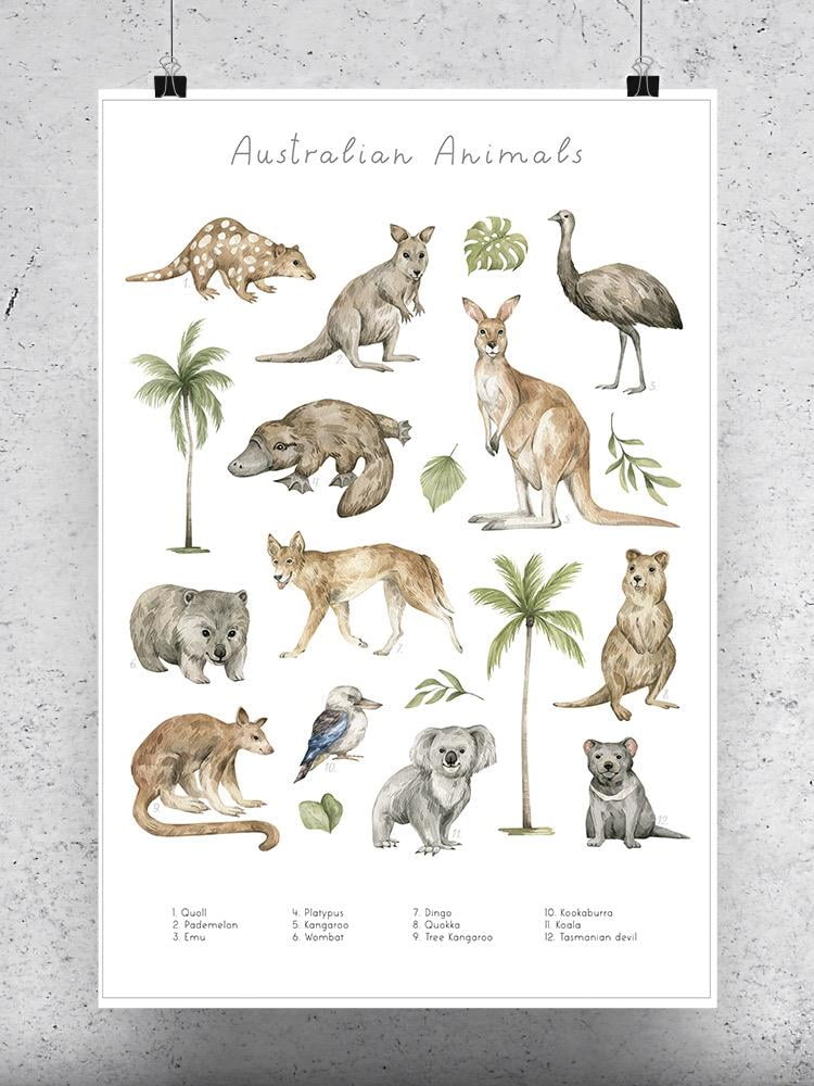 Australian Animals Poster - Image by Shutterstock, - Walmart.com