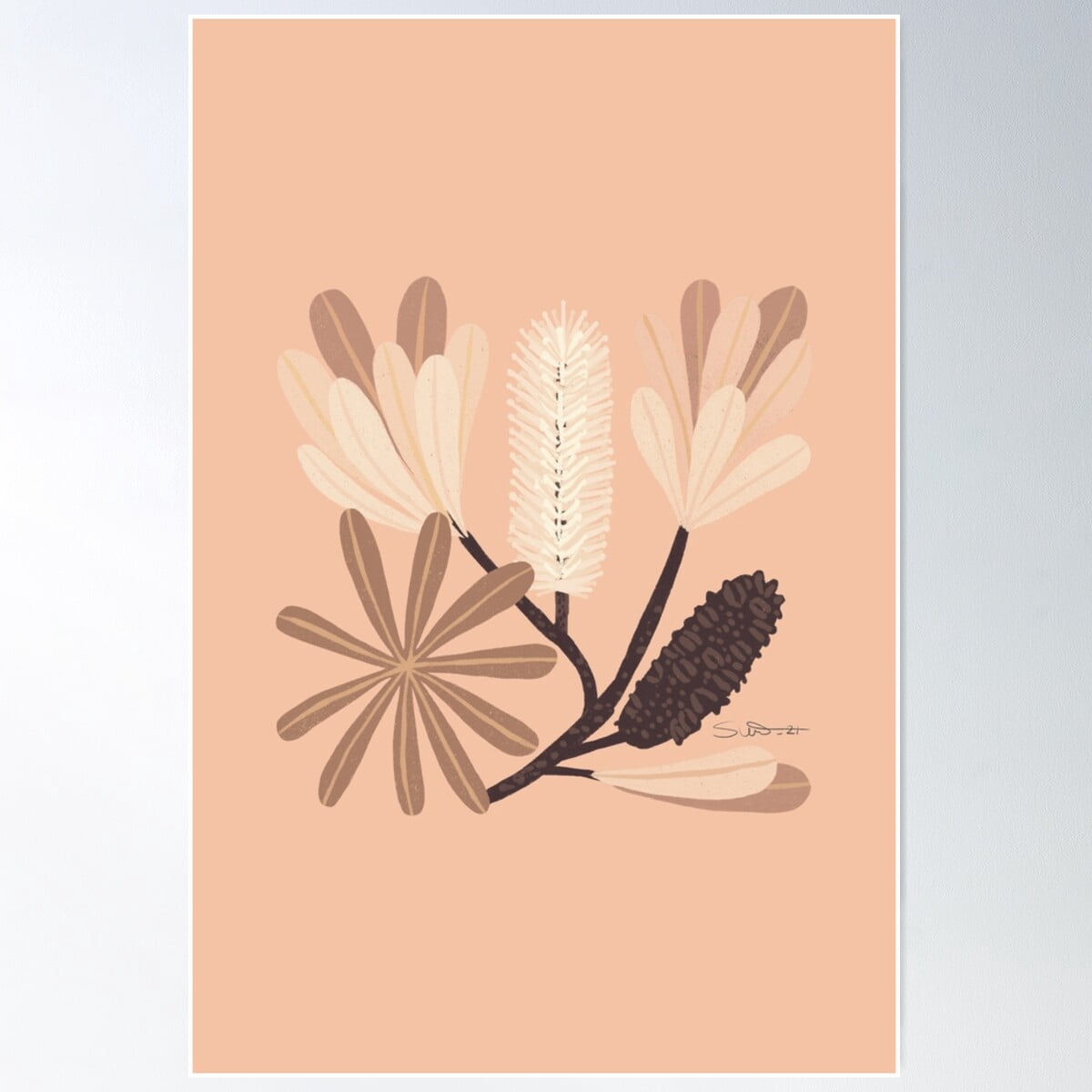 Australian Bottlebrush In Blush Colour Palette Poster Wall Art, Modern ...