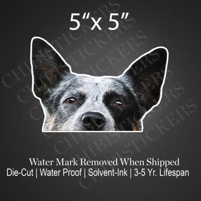 Australian Cattle Blue Heeler Dog Sticker Vinyl Waterproof Phone Decal ...