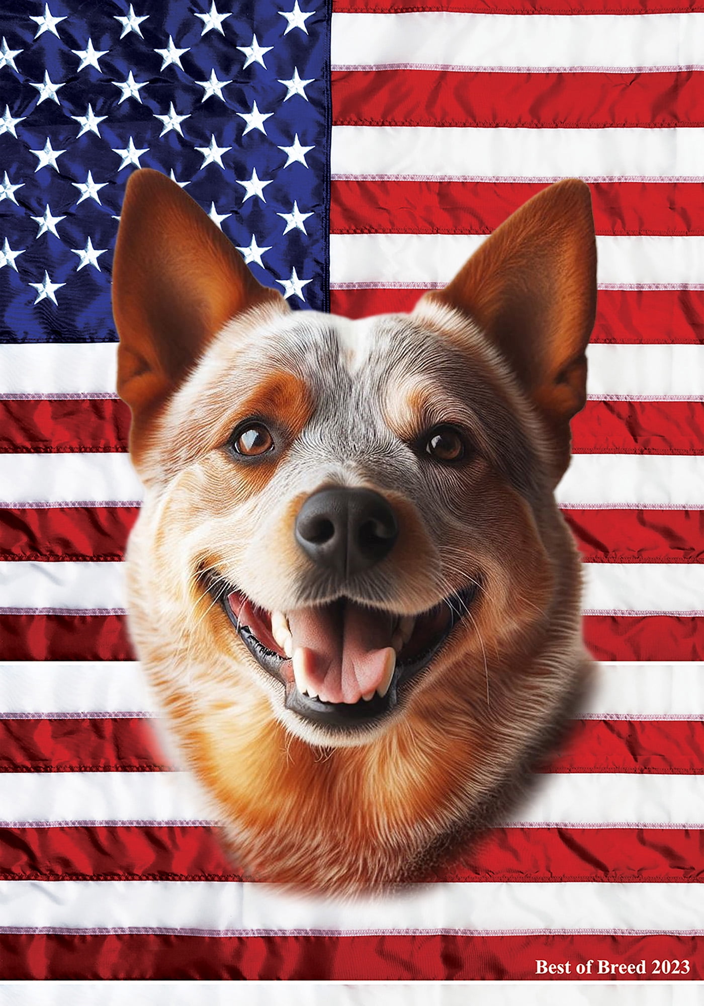 Australian Cattle Dog Red - Best of Breed All-American Patriotic III ...