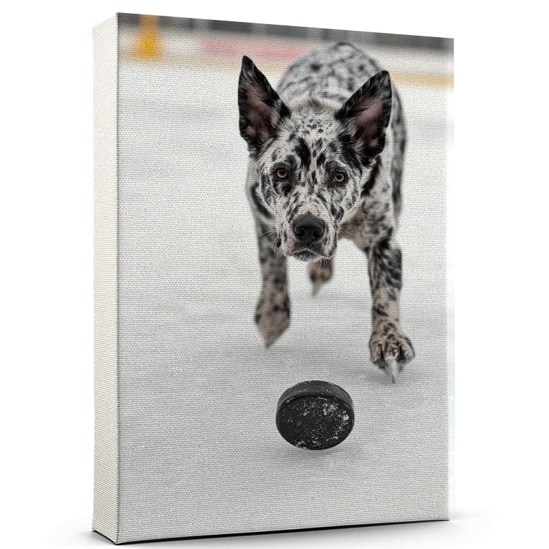 Australian Cattle Vintage Dog Ice Hockey Canvas – Artistic Sports ...