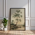 Australian Eucalyptus Tree Botanical Landscape Poster Unframed Paper ...