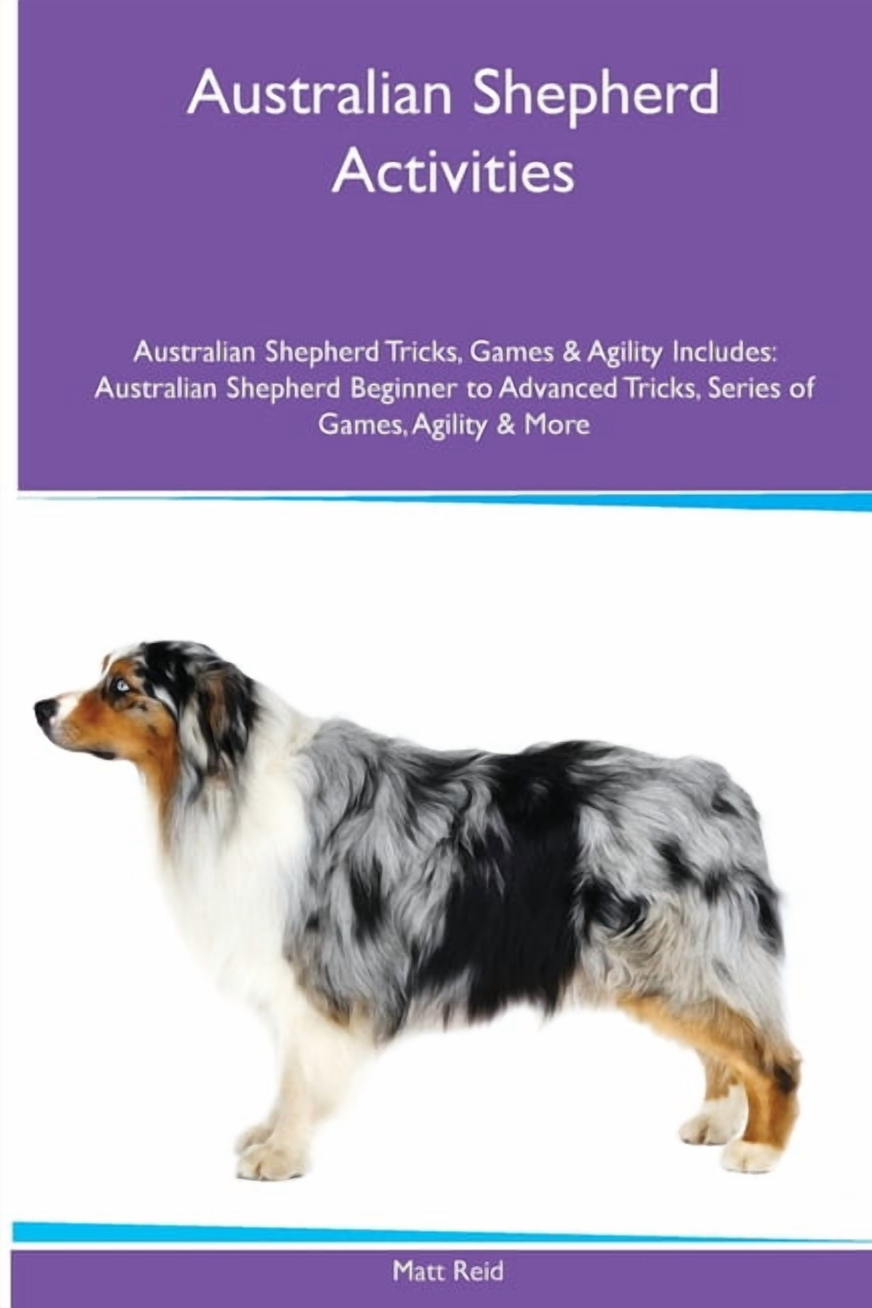 Australian Shepherd Activities Australian Shepherd Tricks, Games ...