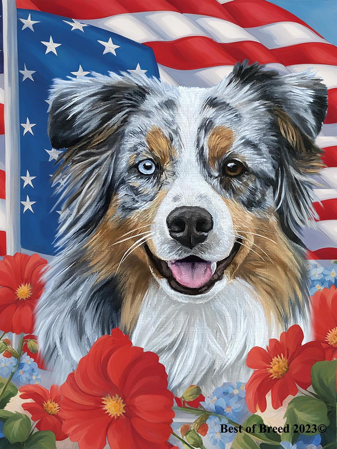 Australian Shepherd Blue Merle - Best of Breed All-American Patriotic I ...