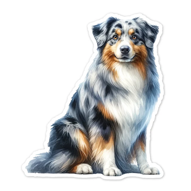 Australian Shepherd Dog Sticker, Water Resistant, Laptop, Water ...