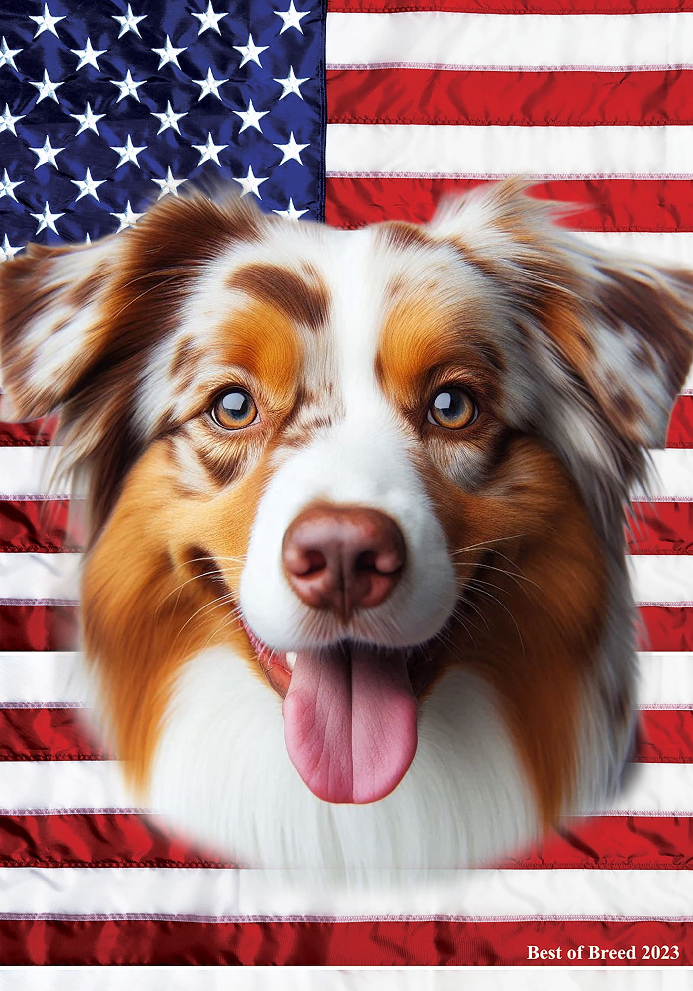 Australian Shepherd Red Merle - Best of Breed All-American Patriotic ...