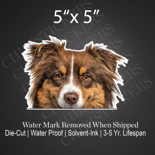 Australian Shepherd Red Tan Tri Color Dog Sticker Vinyl Waterproof ...