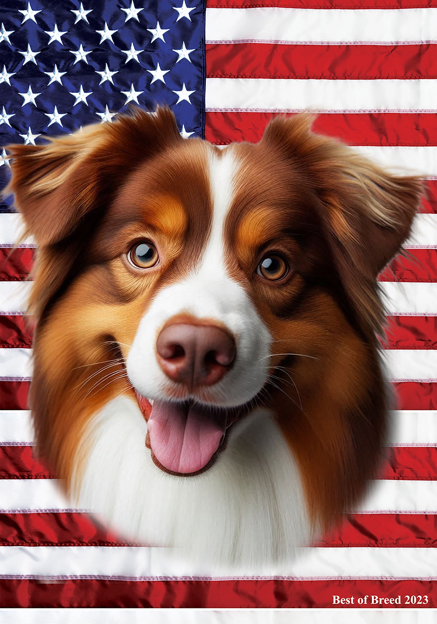 Australian Shepherd Red Tri - Best of Breed All-American Patriotic III ...