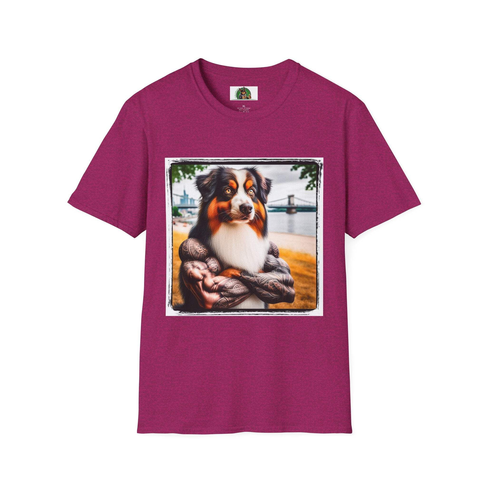 Australian Shepherd Tattooed And Buff - Walmart.com