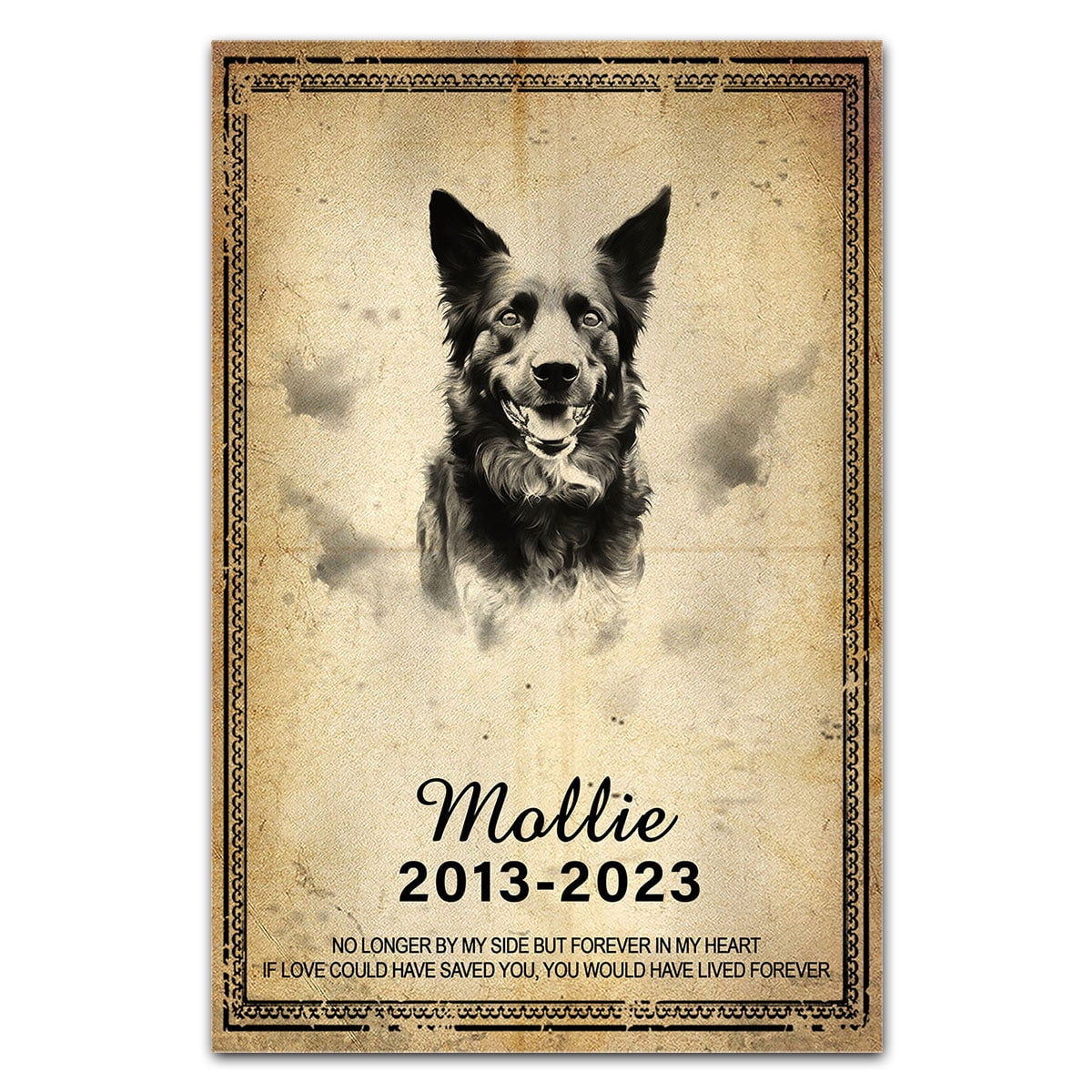 Australian Stumpy Tail Cattle Dog Memorial Poster/Framed Canvas Prints ...