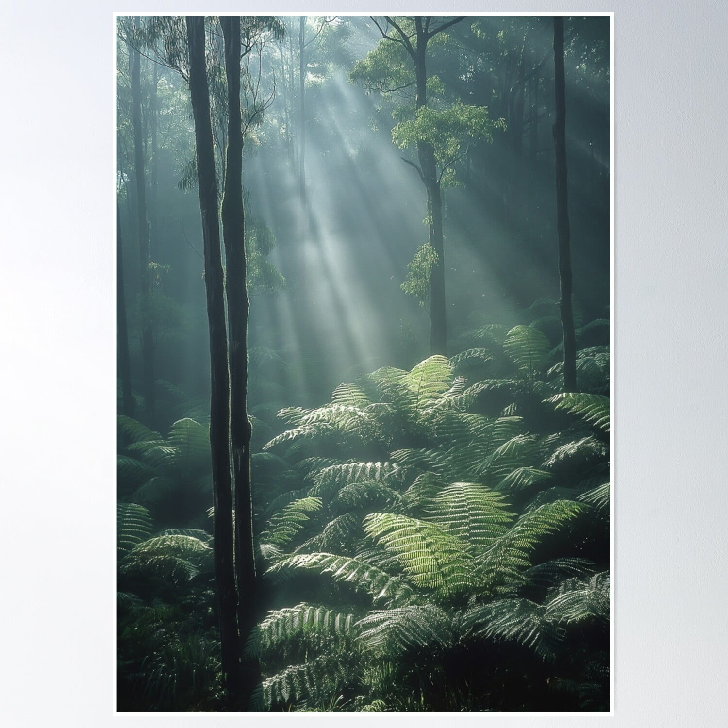 Australian Tree Ferns Poster Wall Art, Modern Wall Decor, 12x18 ...