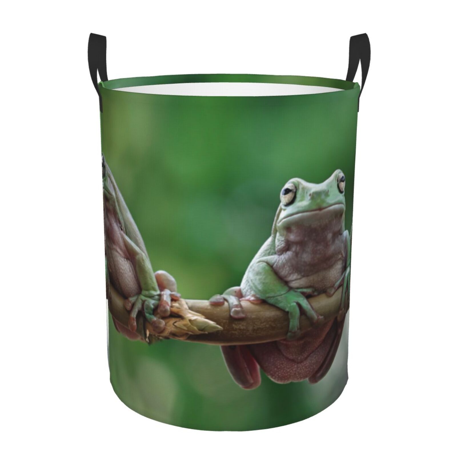 Australian White Tree Frog Branch Large Laundry Basket with Handles ...