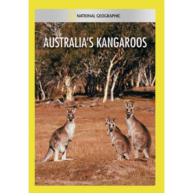 Australias Kangaroos (DVD), National Geographic, Documentary - Walmart.com