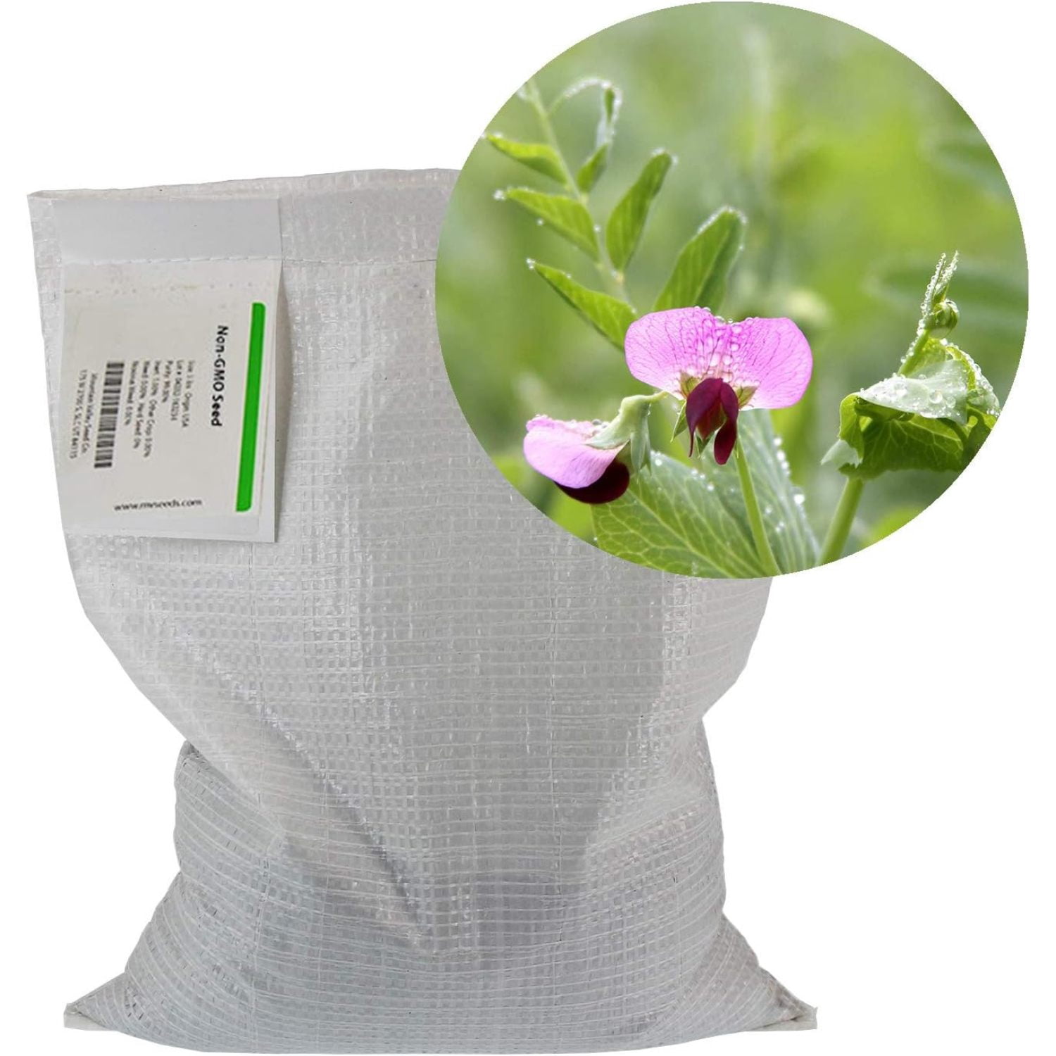 Austrian Field Pea Cover Crop Seeds - 5 Lbs ~9,000 Seeds - Nitrogen ...