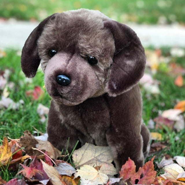 Auswella® Plush 15" Chocolate Labrador Retreiver- Plush Stuffed Animals ...
