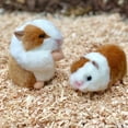 Auswella Plushies Toy: 2 Hamster Plush Animals- One Sitting, One ...