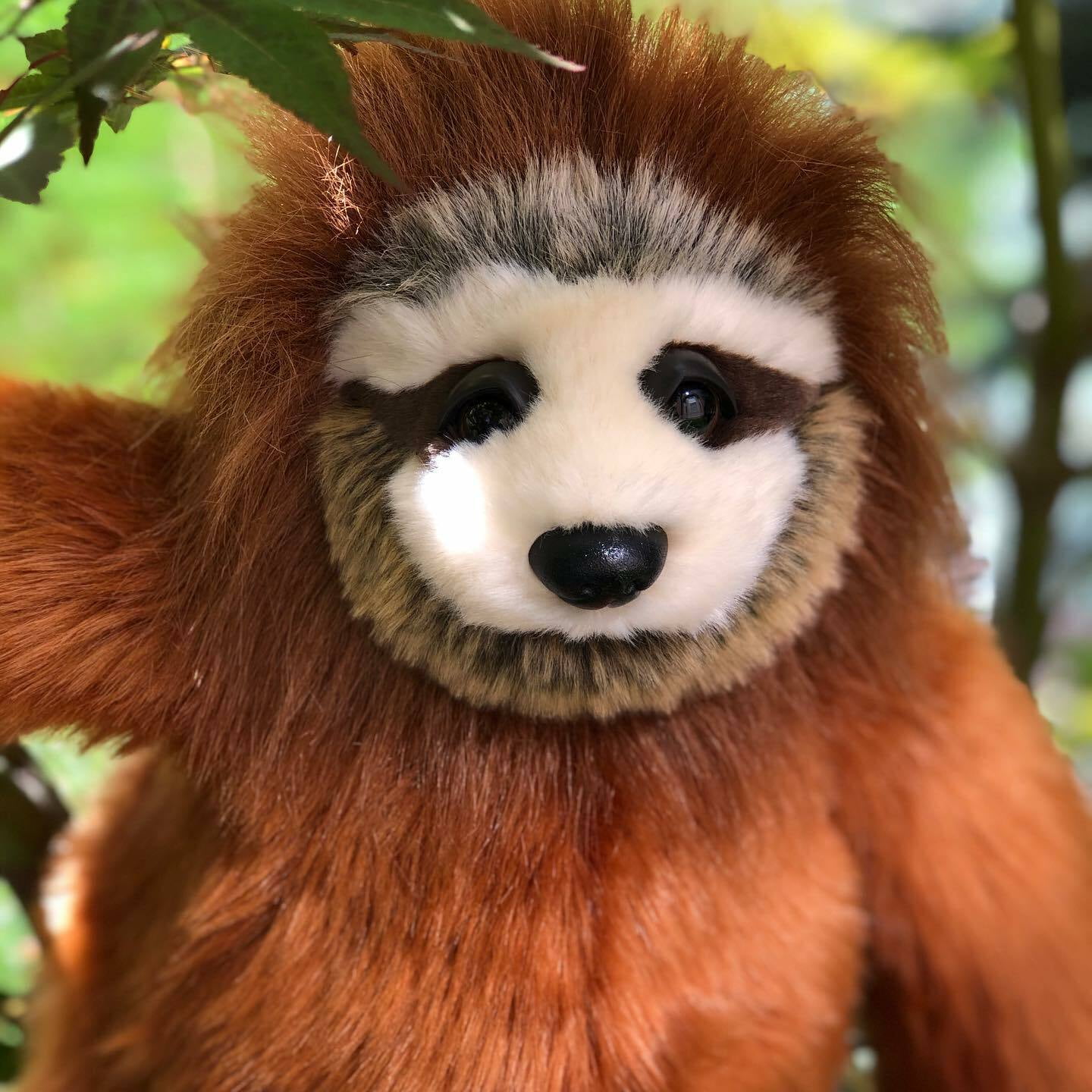 Auswella® Plush 22 Inch Sloth Plush Stuffed Animals Sloth - Walmart.com