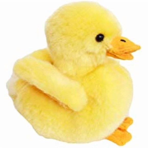 Small Duck Toy