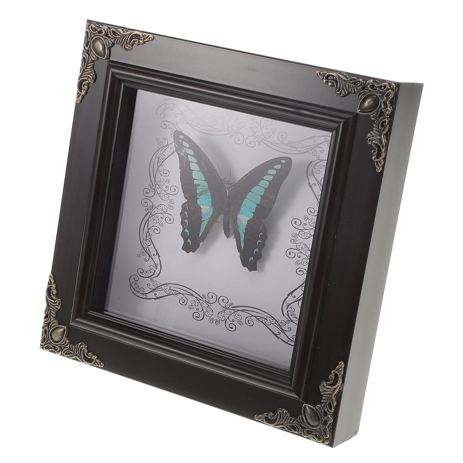 Authentic Butterfly Display Frame Handcrafted Real Butterfly Framed Art ...