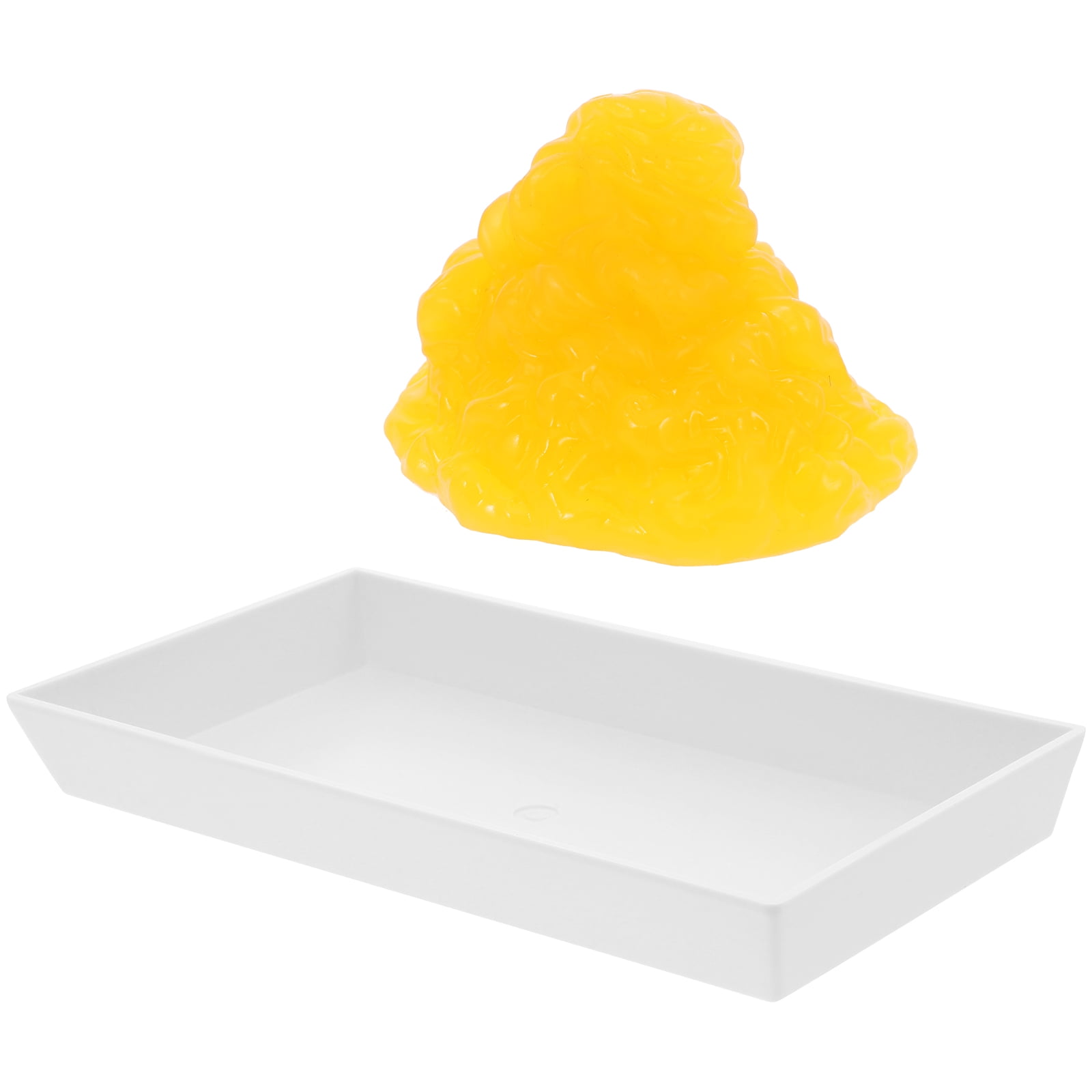 Authentic Human Replica Teaching 1 Pound Display Model with Base ...