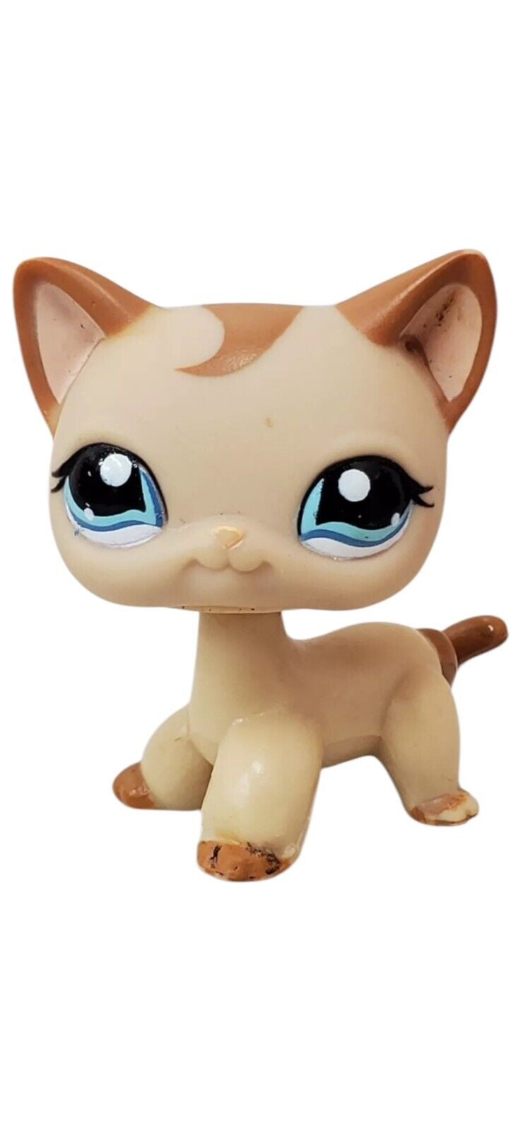 Authentic Littlest Pet Shop Shorthair #1024 Caramel Swirl Blue Eyes LPS ...
